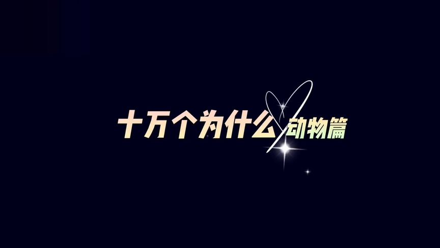 鱼为什么能浮沉?