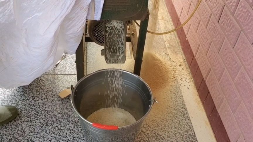 城里人都没见过的碾米过程,稻谷如何变成大米的?农村宝妈告诉你