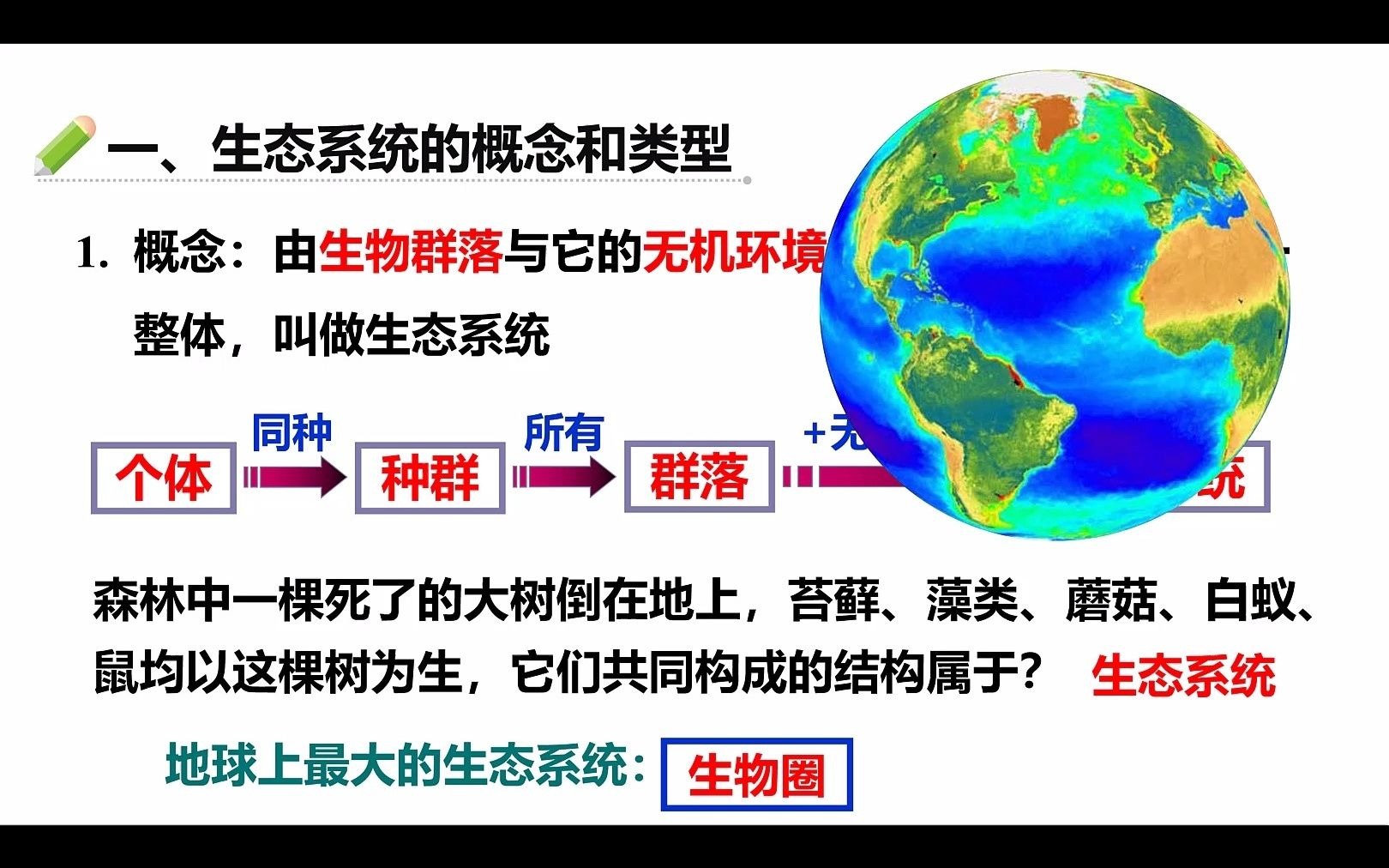 【一本正经讲生物】5.1生态系统的结构
