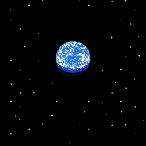 枫毕竟不是花枫 