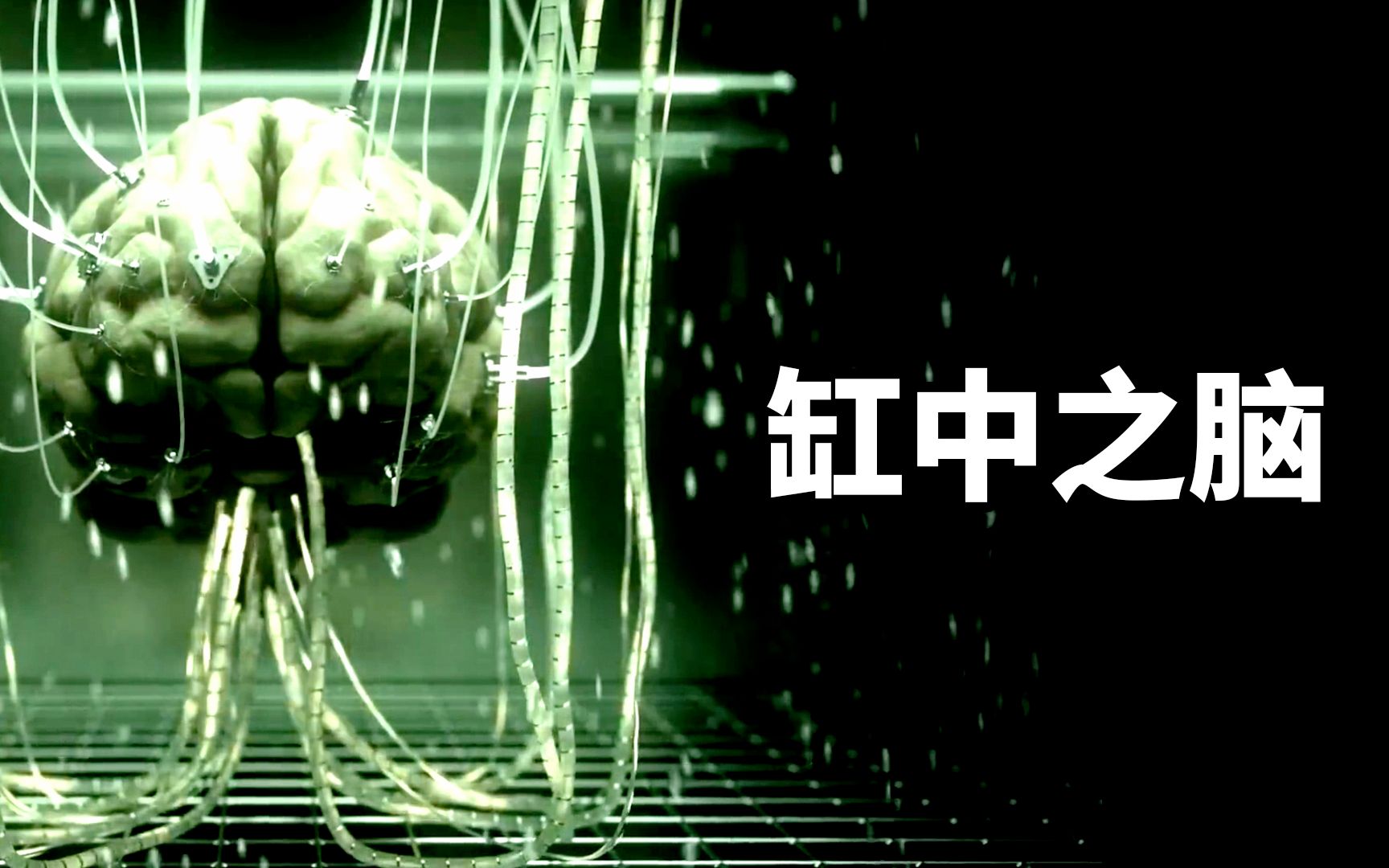 世界是真实存在的吗?细思极恐,整个宇宙可能都是模拟的