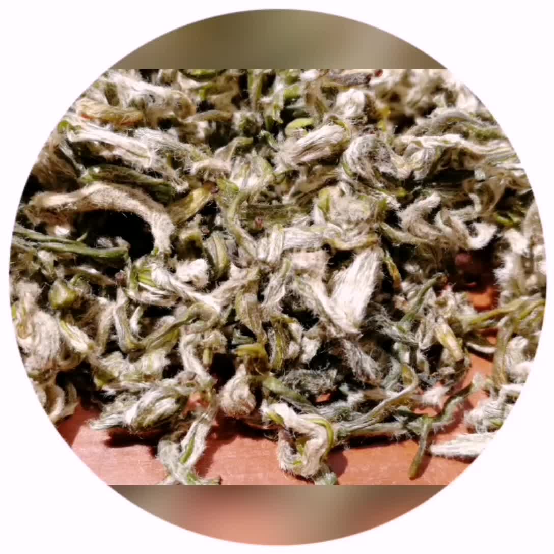 按照森林生态方式种植的茶叶,有森林的清新感和诱人的兰花香。