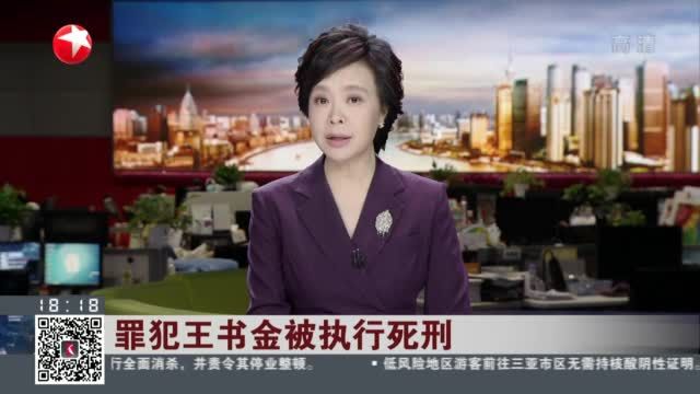 罪犯王书金被执行死刑