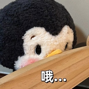 枪口以右_ 