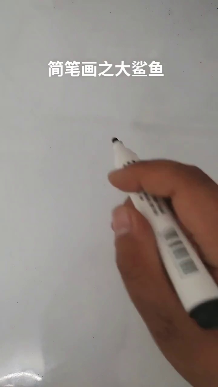 简笔画之大鲨鱼动物画画简笔画