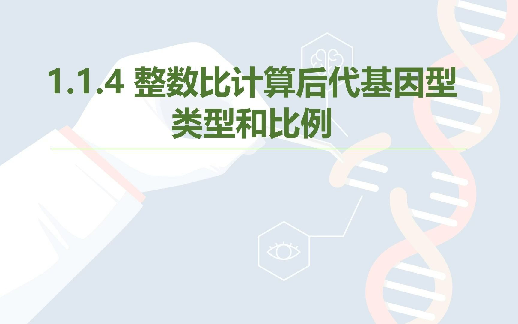 【必修二 · 同步课】1-1-4-用整数比计算后代基因型类型和比例