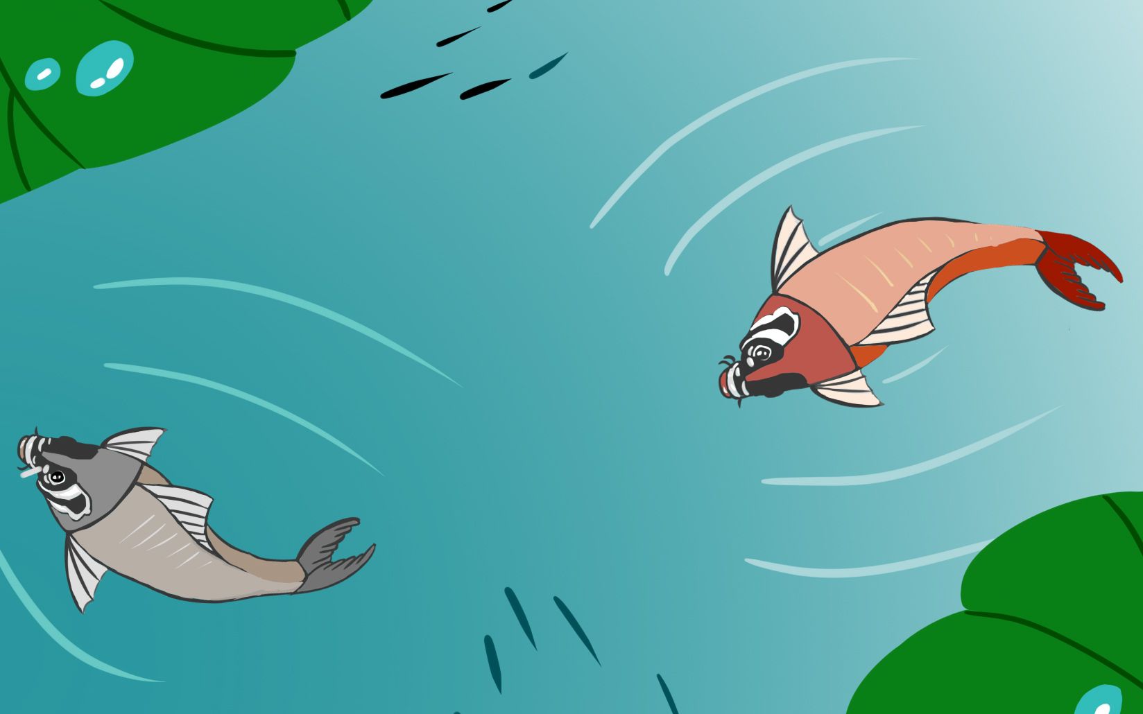 奇妙的自然,保护生态小动画