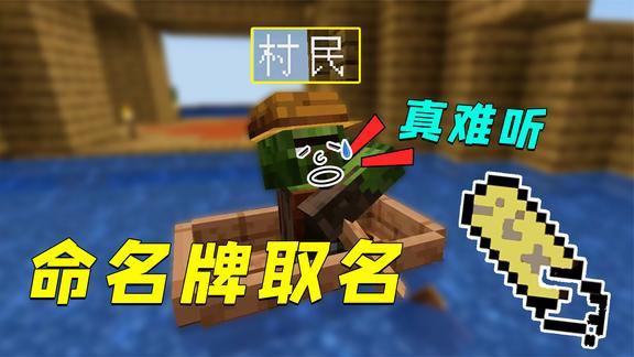 我的世界:欧皇附体找到命名牌!再也不怕村民.