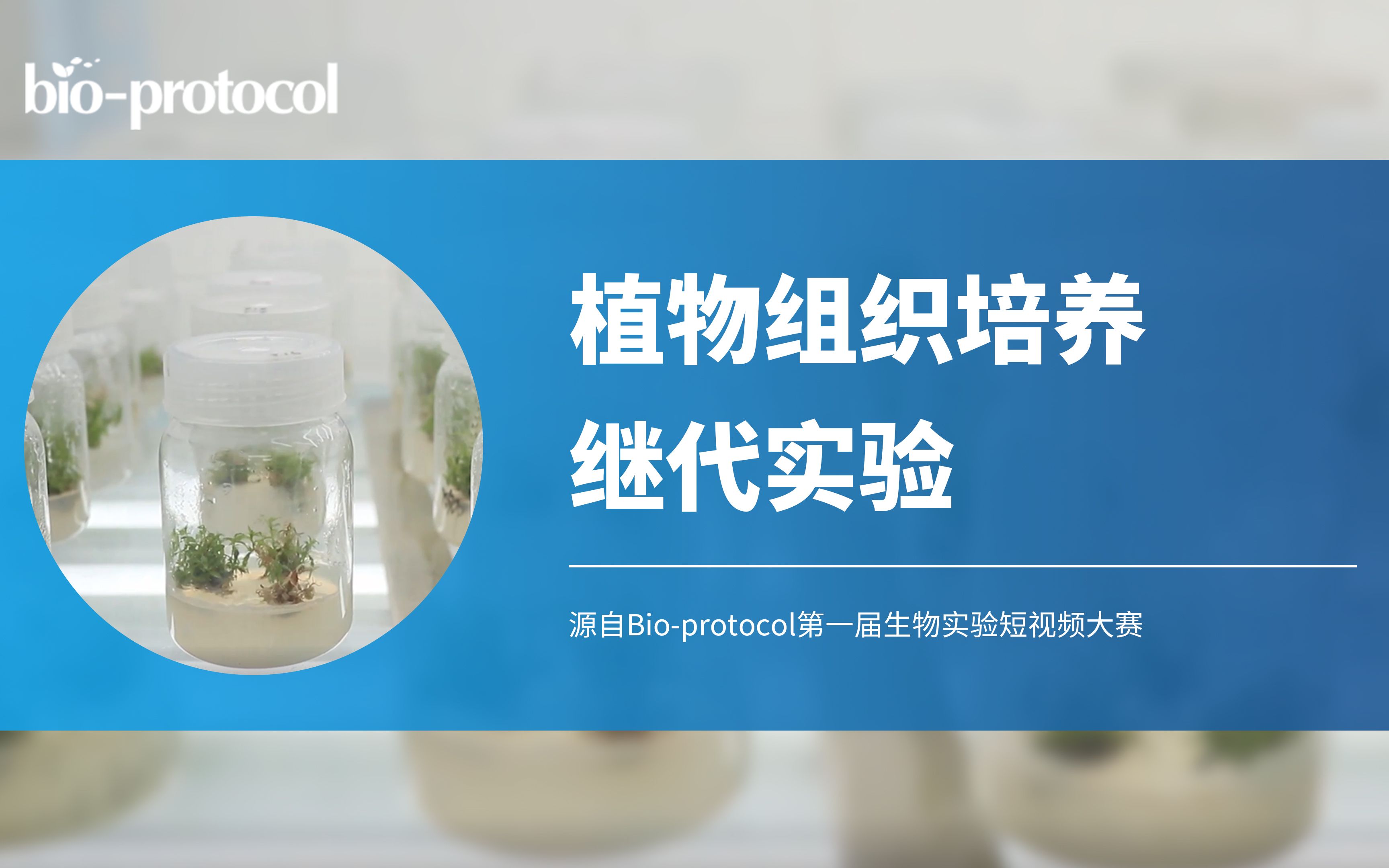 【Bio-protocol】植物组织培养继代实验