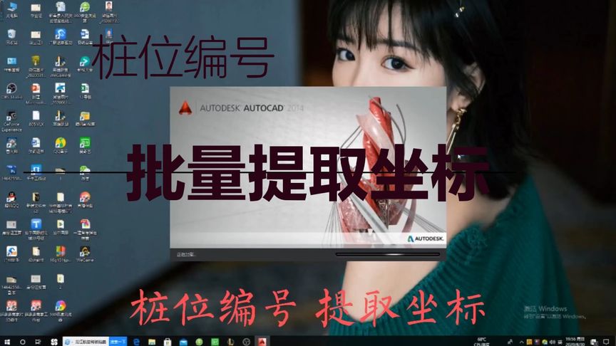 自动桩号标注,自动批量提取坐标