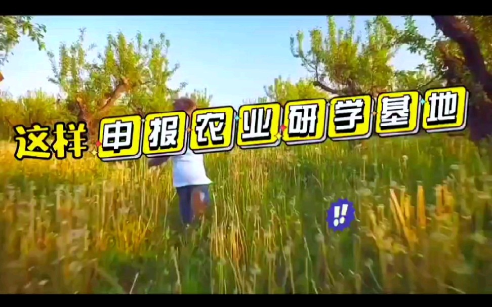 申报农业研学基地方法来了#研学基地申报#研学基地策划规划#亲子研...