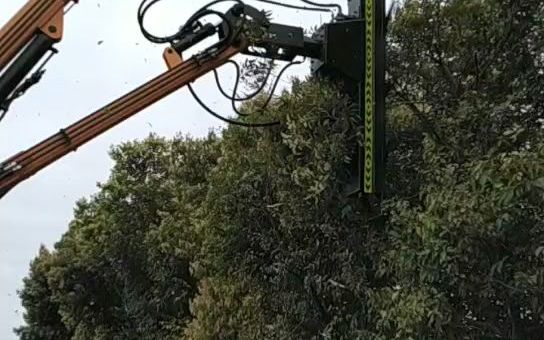 中分带绿篱修剪机 修剪边坡绿化养护