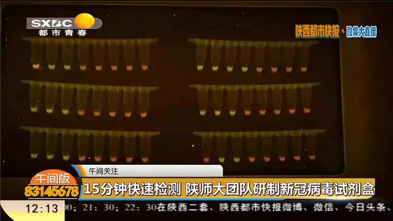 15分钟快速检测 陕师大团队研制新冠病毒试剂盒