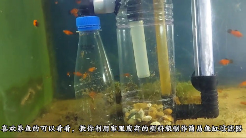 养鱼的看看,废弃塑料瓶不要急着丢,教你制作简易鱼缸过滤器!
