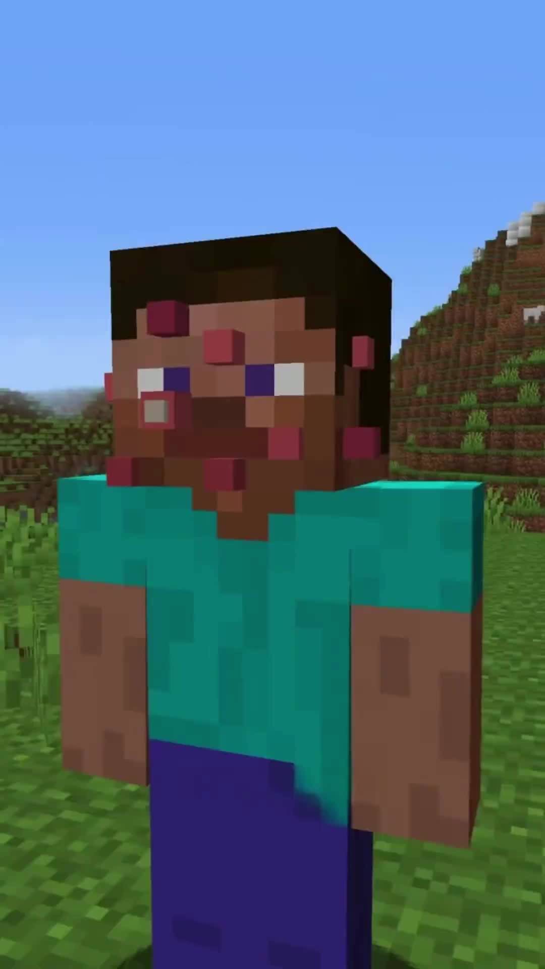 我将痘痘添加进我的世界