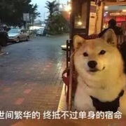 爱打羽毛球的方 