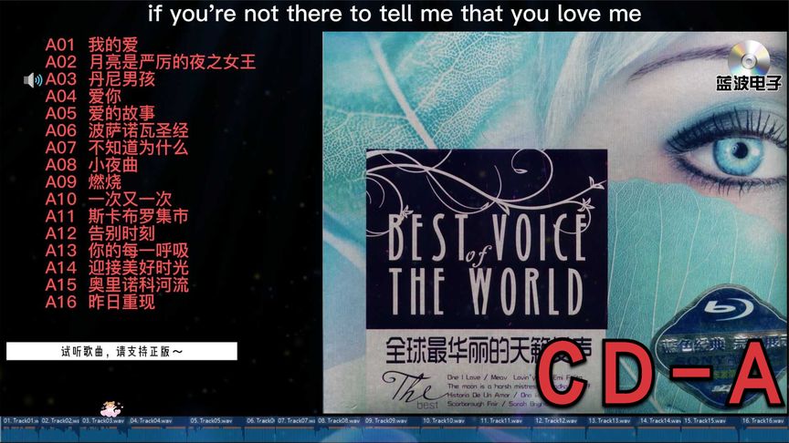 全球最华丽的天籁女声2CD-CDA