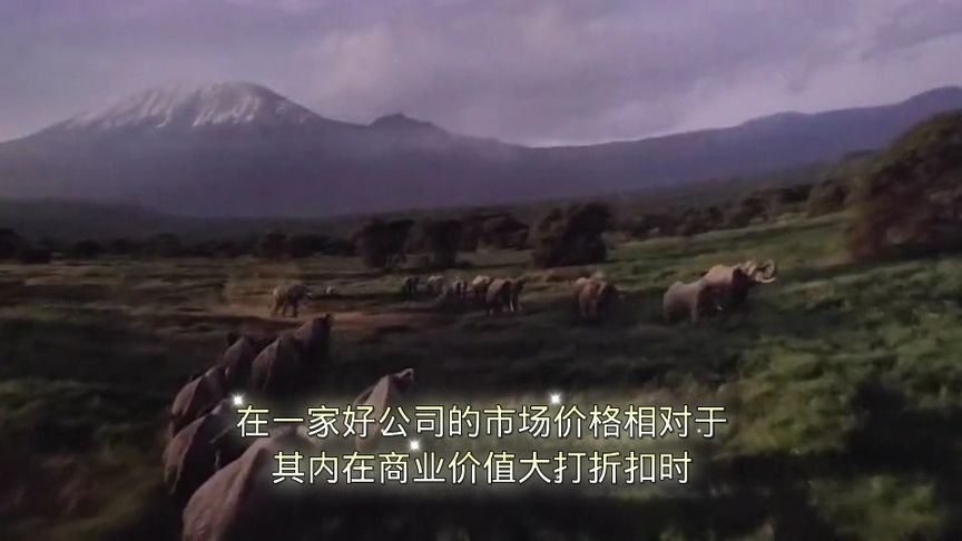 成长股价值股投资 必看,企业