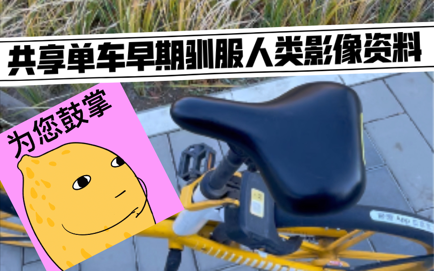 共享单车早期驯服人类的宝贵资料。劳什子停放区。