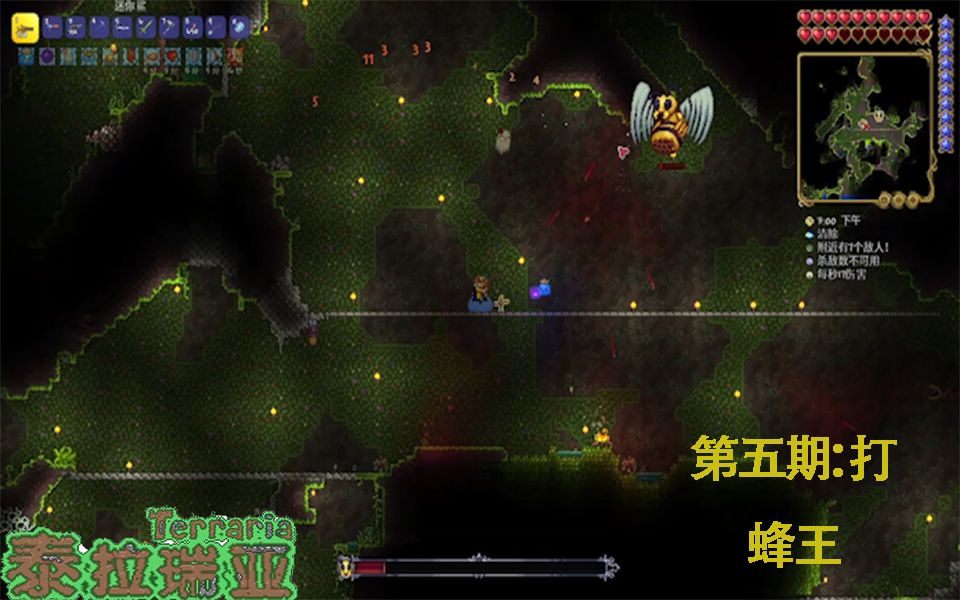 泰拉瑞亚 第五期 探索丛林