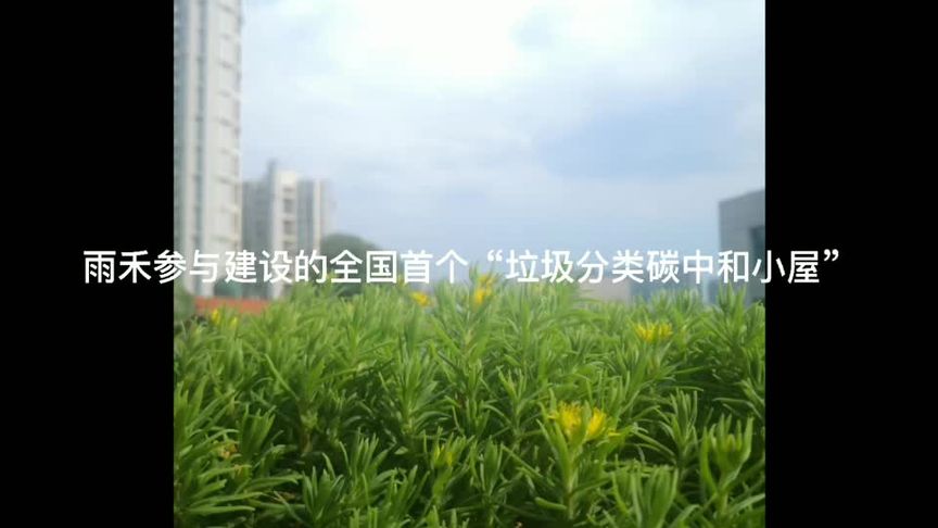 “绿顶蓝天行动碳中和项目”,雨禾参与建设的全国首个