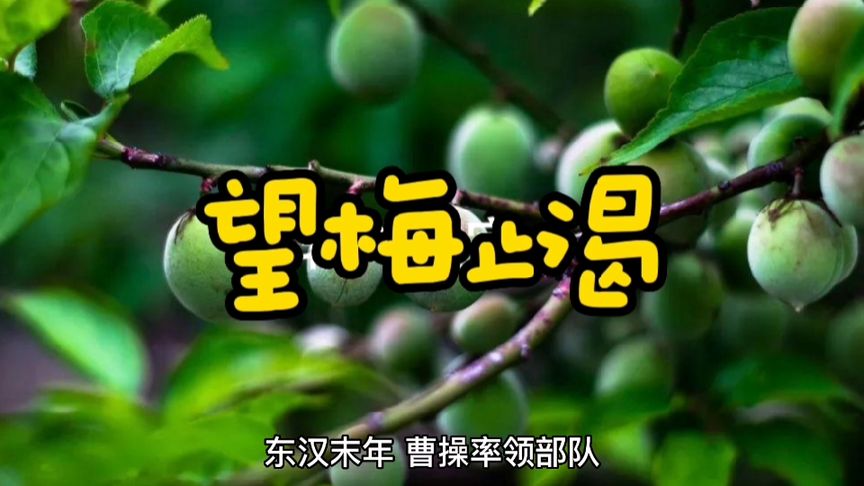 #寻找古籍守护人 #传统文化 @#中华传统文化故事