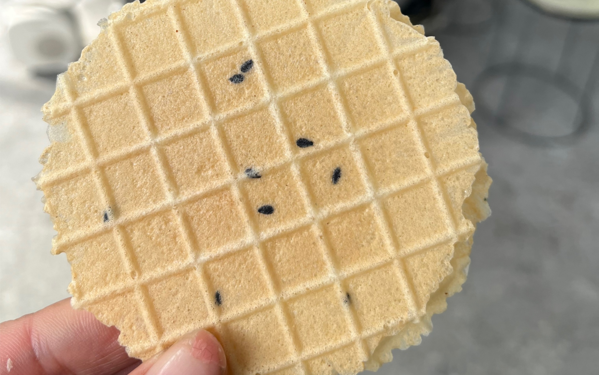 虾片机全自动鲜虾薄片机婴幼儿辅食可做自动生产线