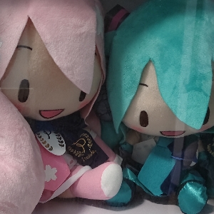 有大fu之人 