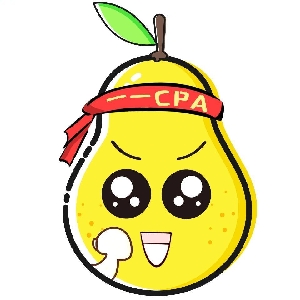 注会CPA老师王译艺私塾 