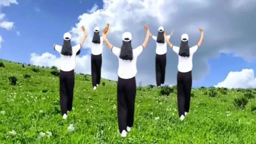 精选小舞蹈《最炫民族风》歌醉舞美,好看易学