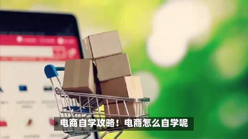 零基础电商自学指南:30天实操干货,轻松月入过万!