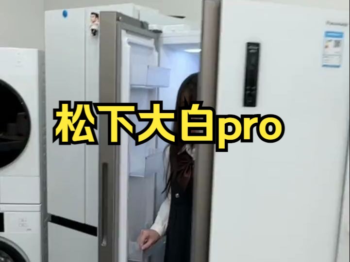 双十一 大容量松下冰箱。