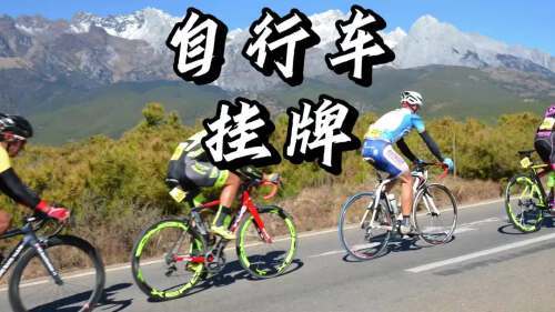 难道就连自行车都要上牌了嘛?