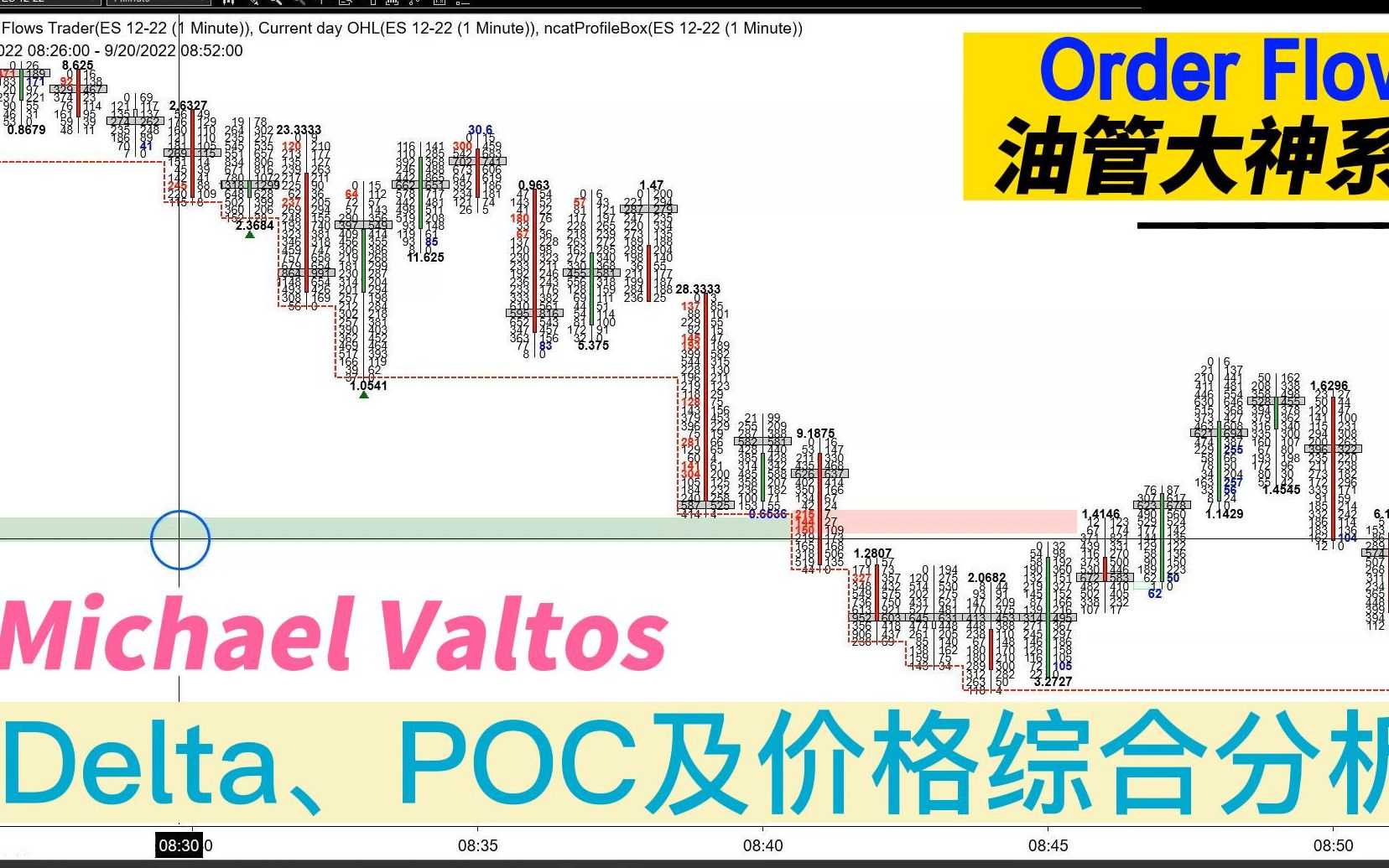 油管订单流大神系列——Delta、POC及价格行为综合分析