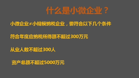 什么是小微企业？