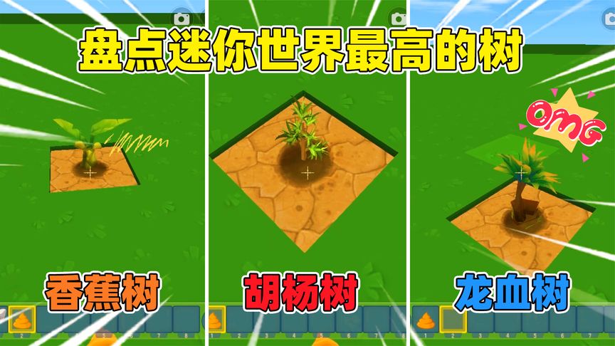 迷你世界:盘点迷你最高的树!最高的树是雨林乔木?这是真的吗?