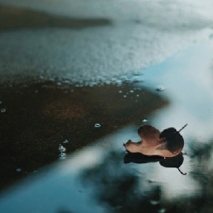 杰尼龟要戴墨镜 