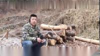 农村小伙不出门打工,刮松树皮种这种中药材,养一家老小