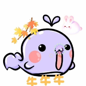 精通学堂河南-鲸洛洛 