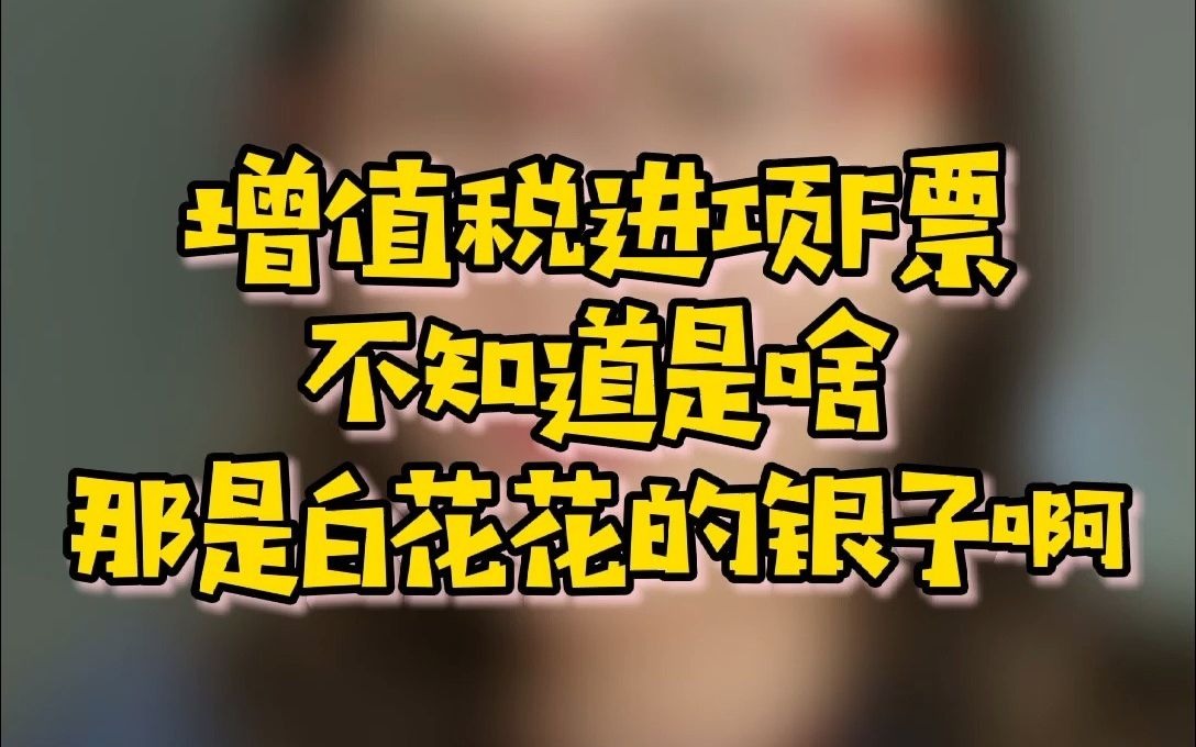 增值税进项票不知道是啥,那是白花花的银子啊
