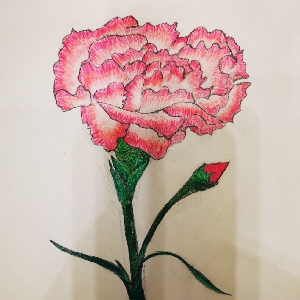 幻影HF 