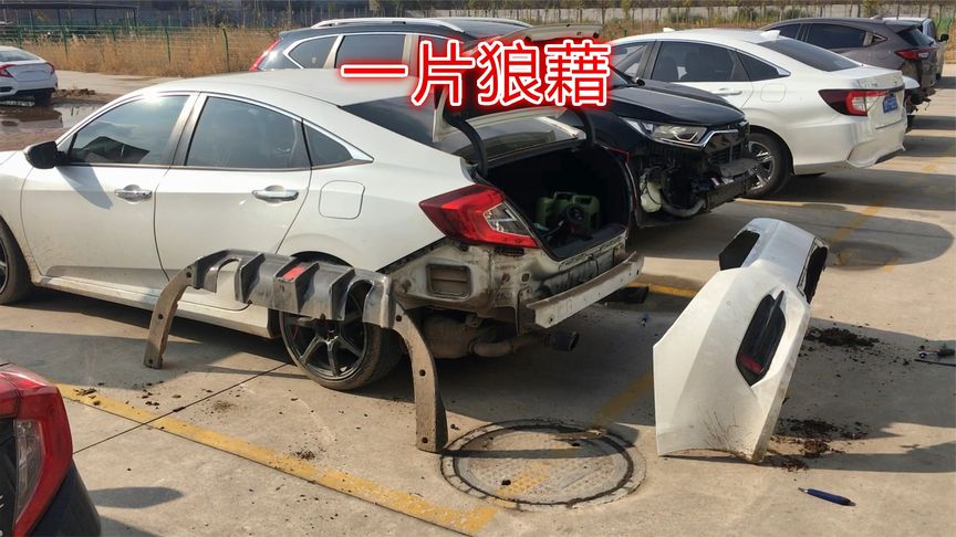 自己开车撞树了要不要走保险?处理流程是什么?亲身经历来告诉你