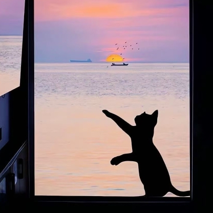 每天学点法语听说读写 