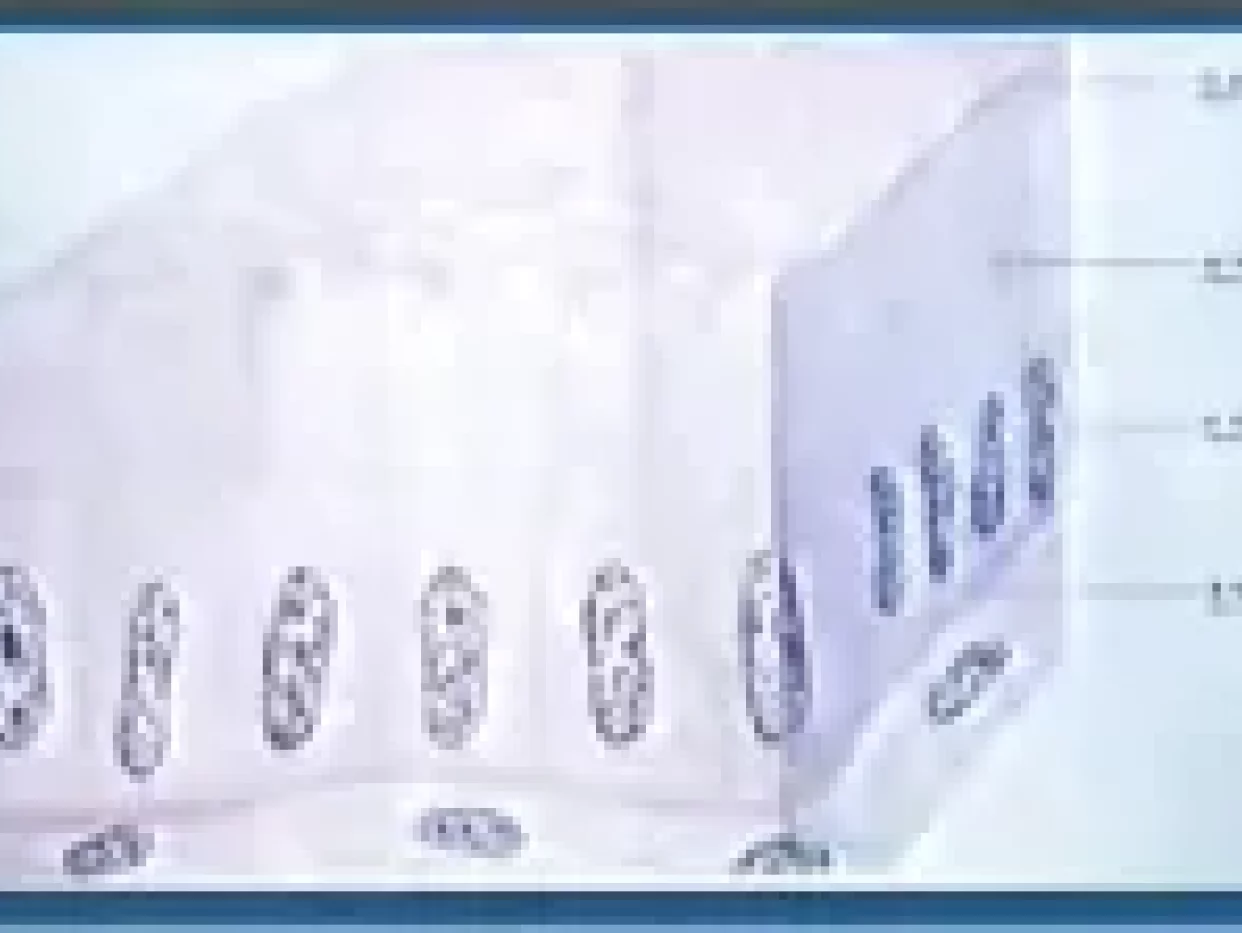 人体解剖生理学01