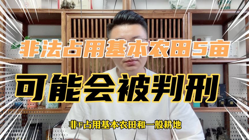 非法占用永久基本农田5亩以上或者以外的耕地10亩以上应定罪处罚