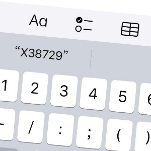 小喇叭专业维修CCD 