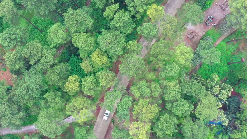 携手林业,共筑生态文明!林业工程学院宣传片