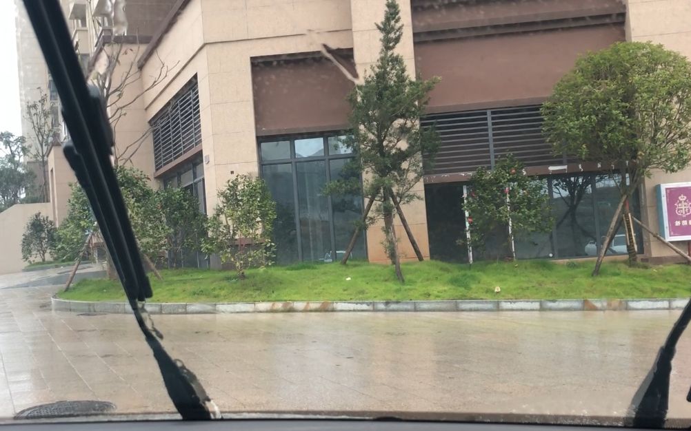 如何把雨刮立起来,变身天线宝宝,老司机又出招了