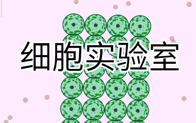 [细胞实验室]撕扯一块植物组织