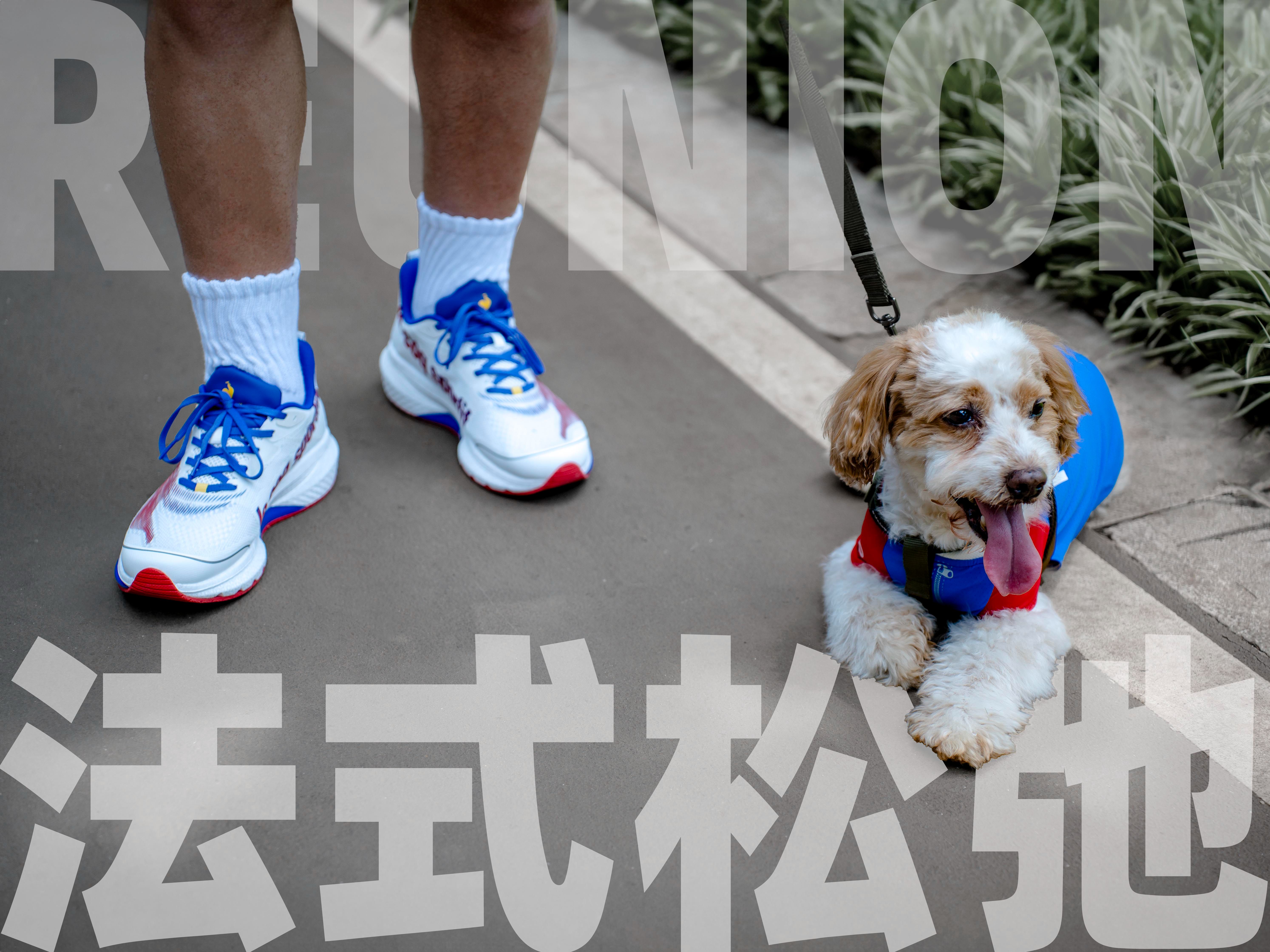 来自法兰西的礼物:Le coq sportif 限量纪念奥运凤凰跑训鞋礼盒